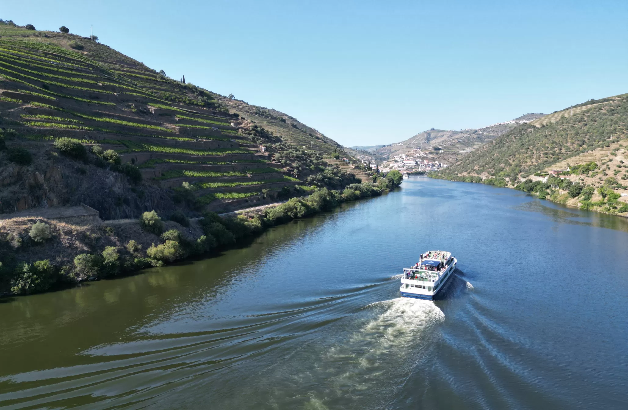 Vale do Douro: Uma Viagem pela Casa do Vinho do Porto | To Do in Portugal