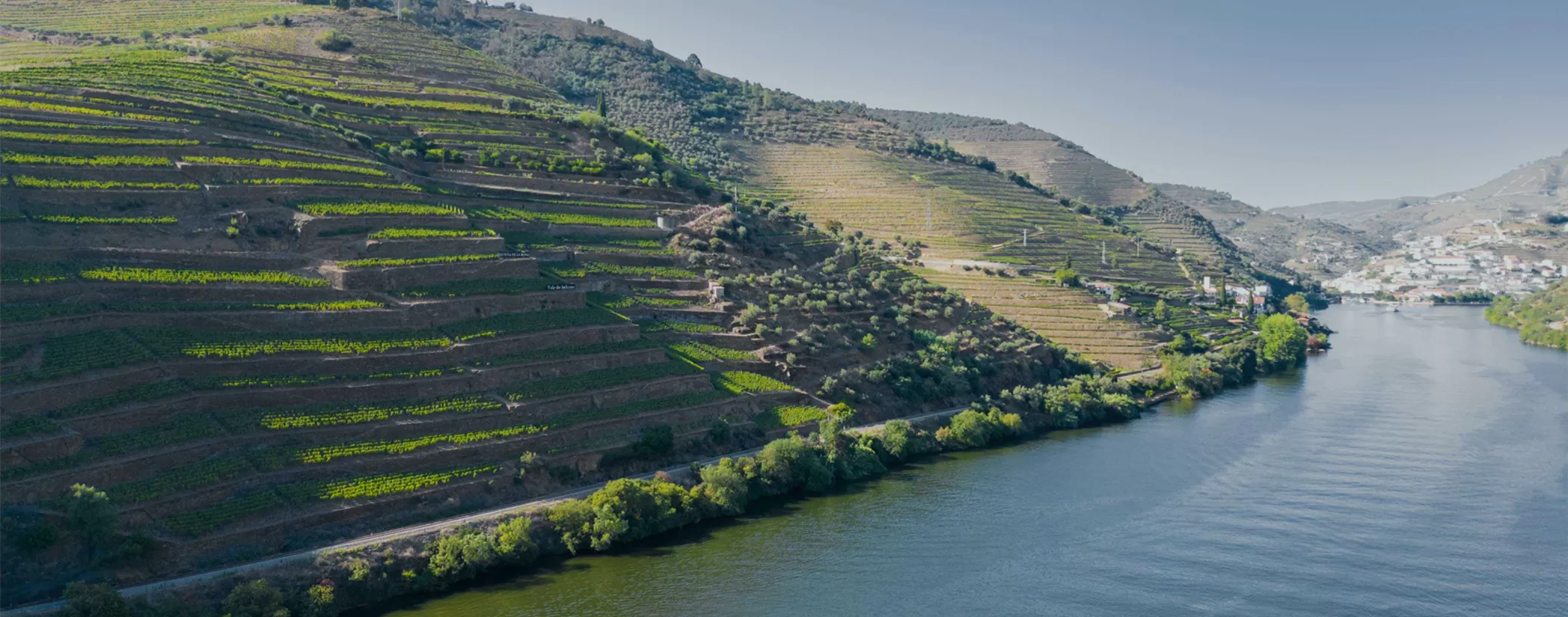 Explorar o Douro | To Do in Portugal